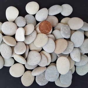 Round Sea Stones -bulk 70 Pcs Small-baltic Beach Stones-sea Pebbles ...