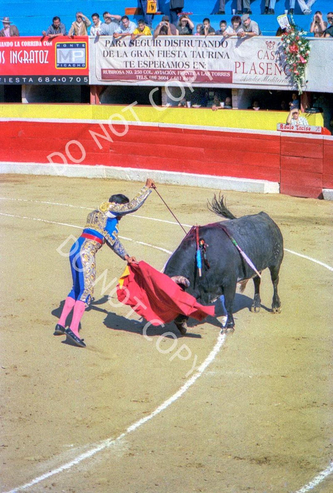 3 5x7 Photos, Bullfighting Tijuana Mexico, Bullfighter, Bullfighting in ...