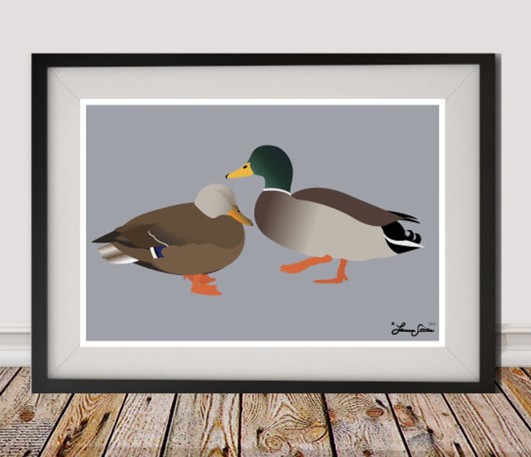 Wildlife Ducks Mallard / Poster Print Minimalist Wildlife Ducks Mallard ...
