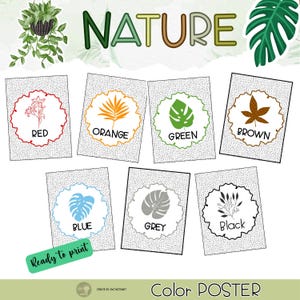 Nature Themed Classroom Decor Bundle Editable - Etsy