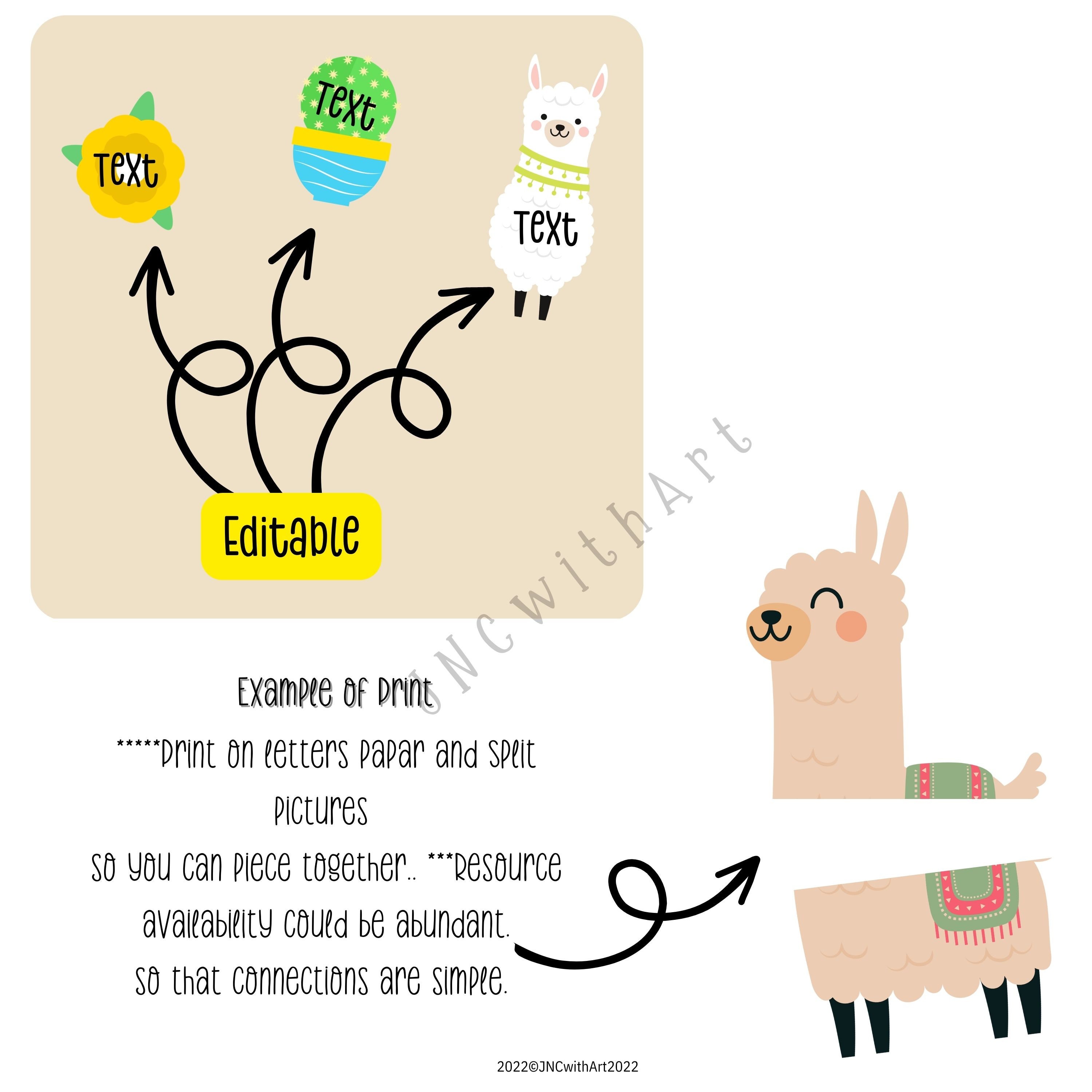 Llama Bulletin Board Kit Summer Back to School Door - Etsy