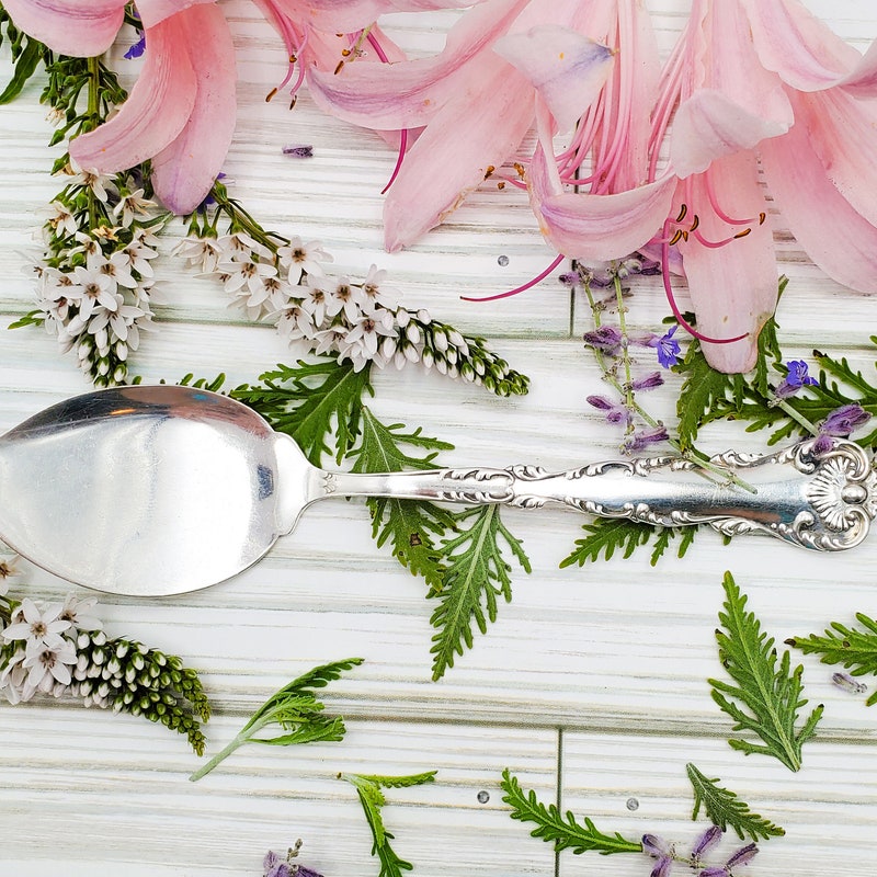 Whiting Violet - Etsy