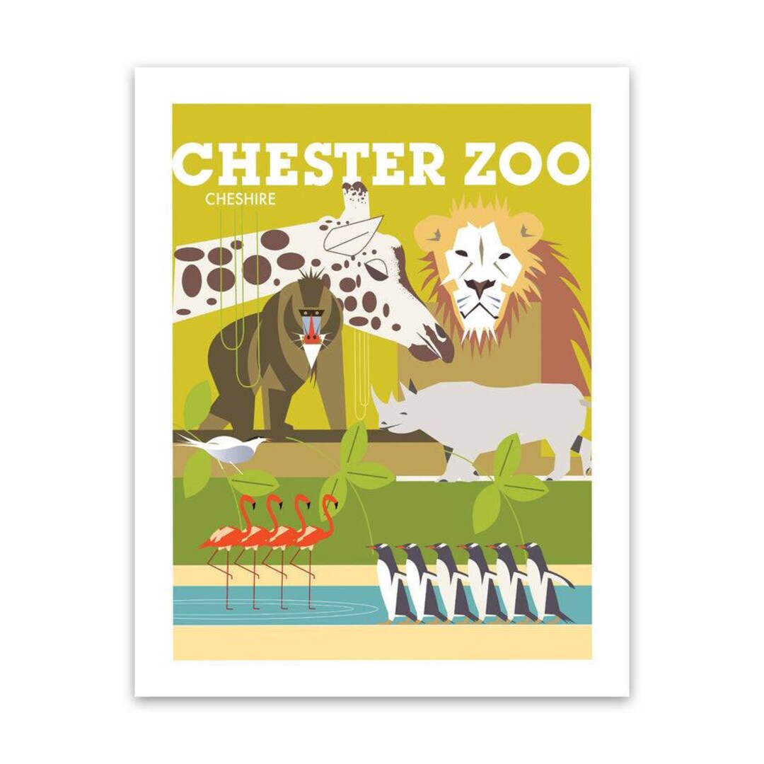 Chester Zoo, Dave Thompson Illustrations, Travel Art, Zoo - Etsy