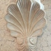 Shell Shaped Wall Shelf Vintage Excellent Condition Rare - Etsy