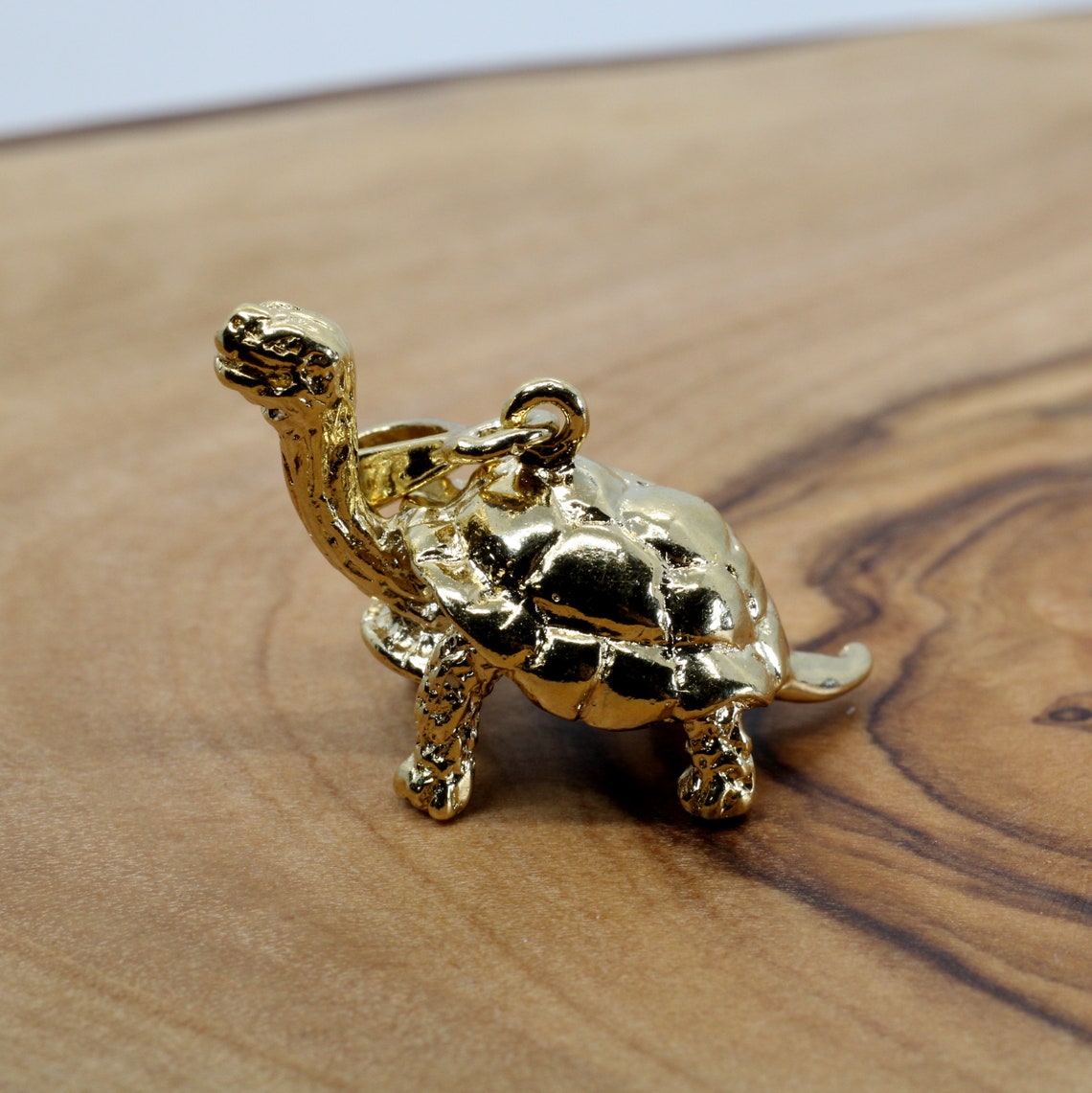 Galapagos Tortoise Necklace for Her Gift for Turtle Lover - Etsy UK
