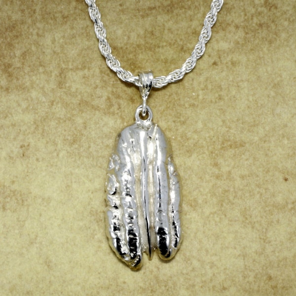 Pecan Tree - Etsy
