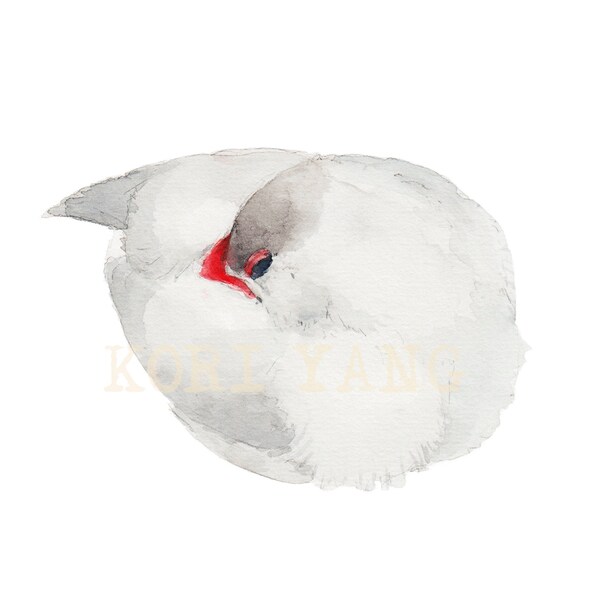 Sparrow Watercolor - Etsy