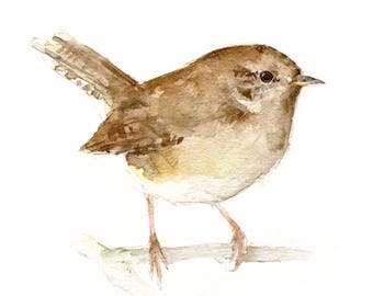 Robin Aquarelle Aquarelle oiseau impression 5 x 7 pouces - Etsy France