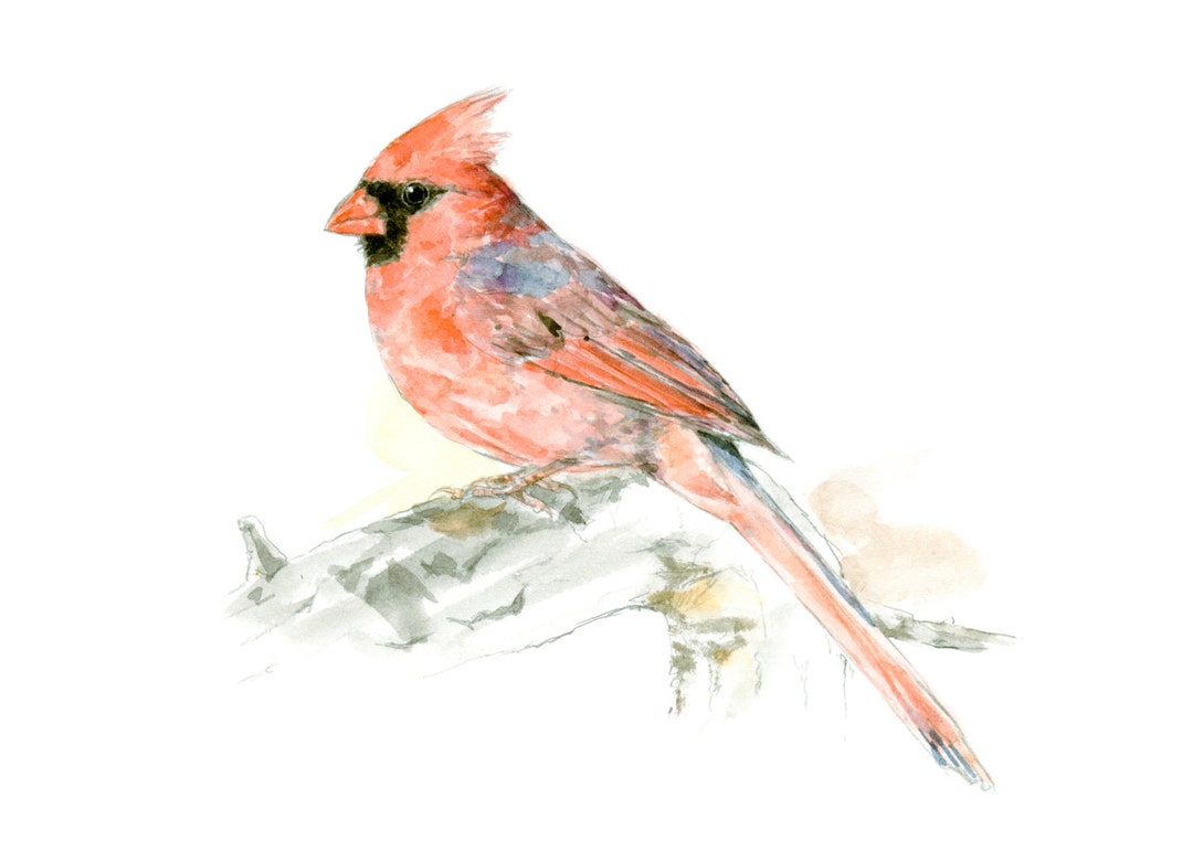 Red Cardinal Watercolor Painting Bird Watercolor Painting - Etsy