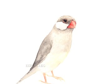 Bird Watercolor - Etsy