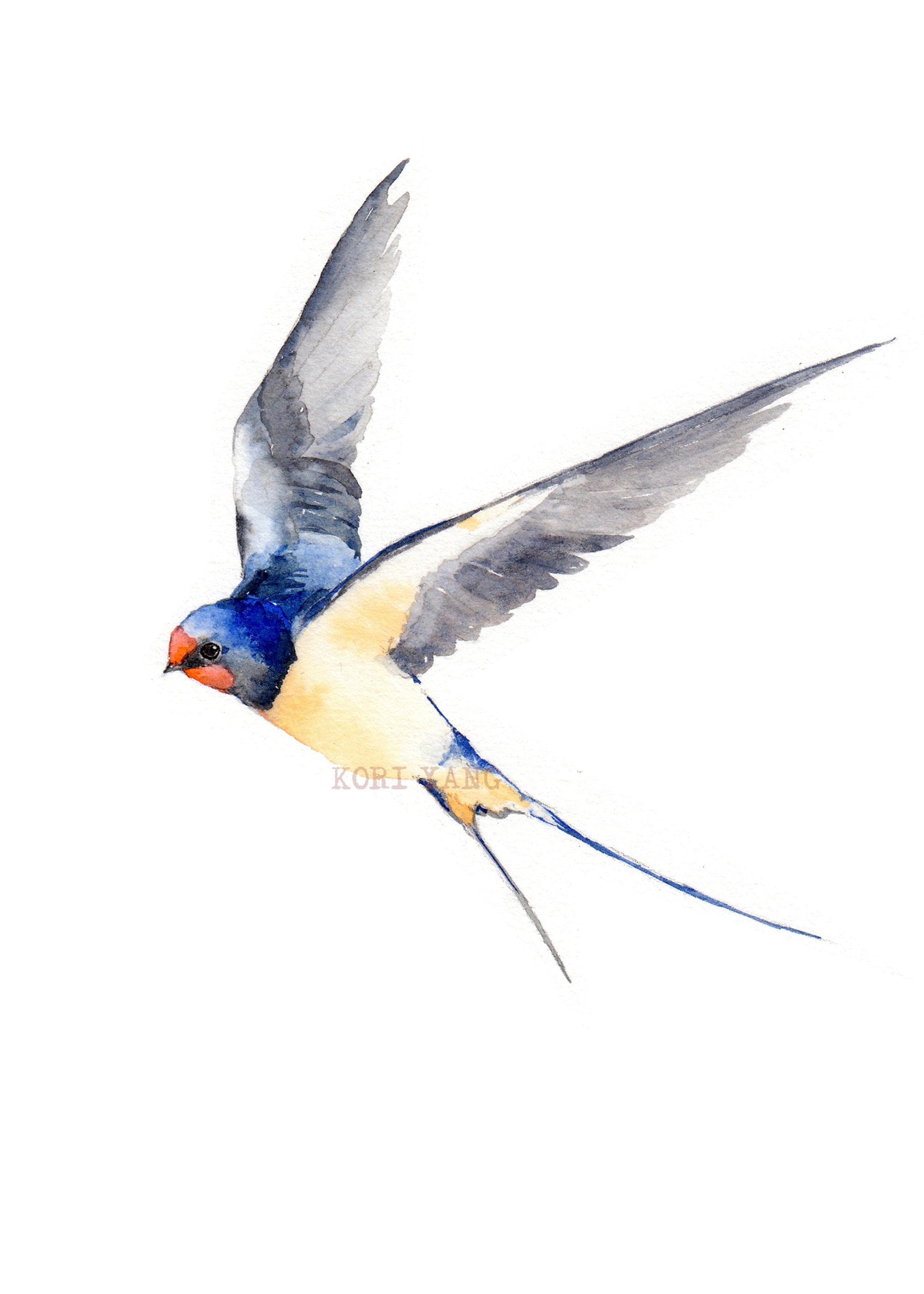Barn Swallow Watercolor Painting Bird Watercolor Painting - Etsy UK