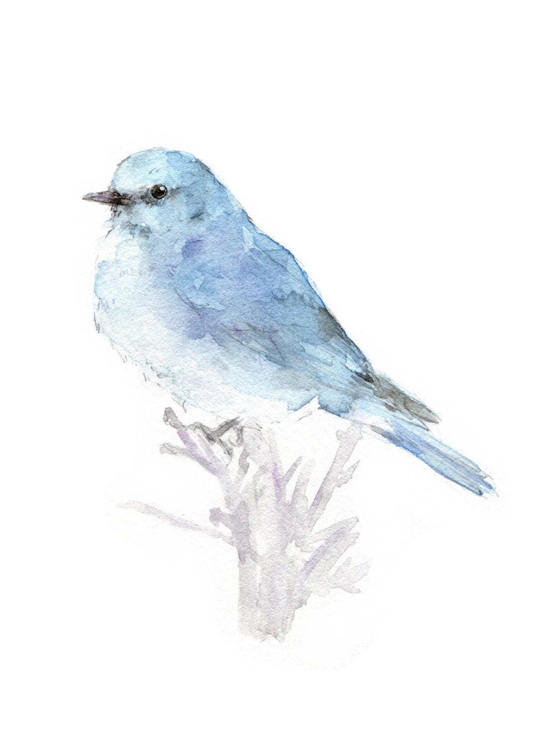 Mountain Bluebird Watercolor Painting - Bird Watercolor Painting - 5x7 ...