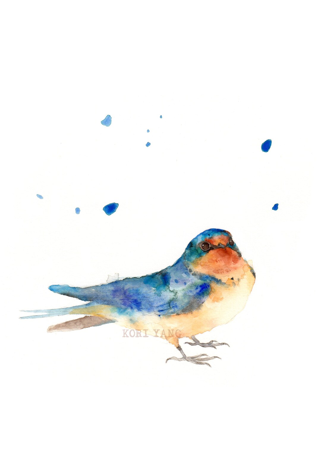 Barn Swallow Watercolor Painting - Bird Watercolor Painting - 5x7 Inch ...