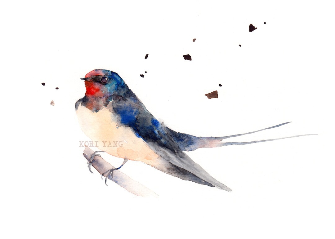 Barn Swallow Watercolor Painting - Bird Watercolor Painting - 5x7 Inch ...