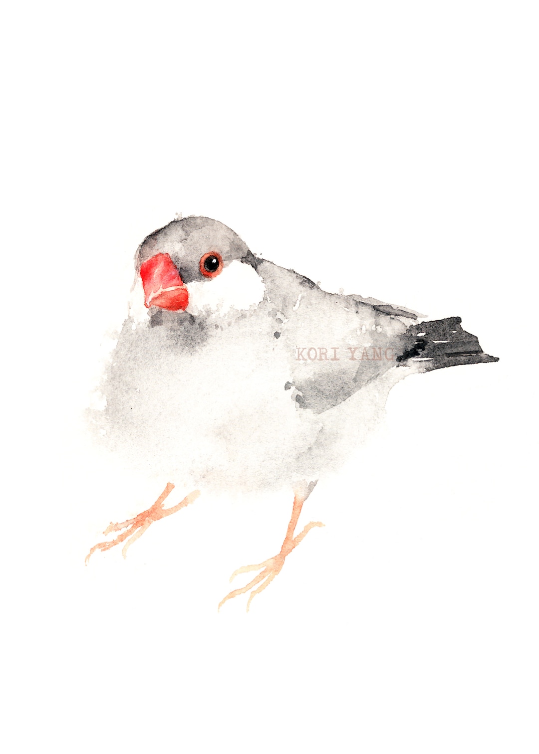 Java Sparrow Watercolor Painting - Bird Watercolor Painting - 5x7 Inch ...