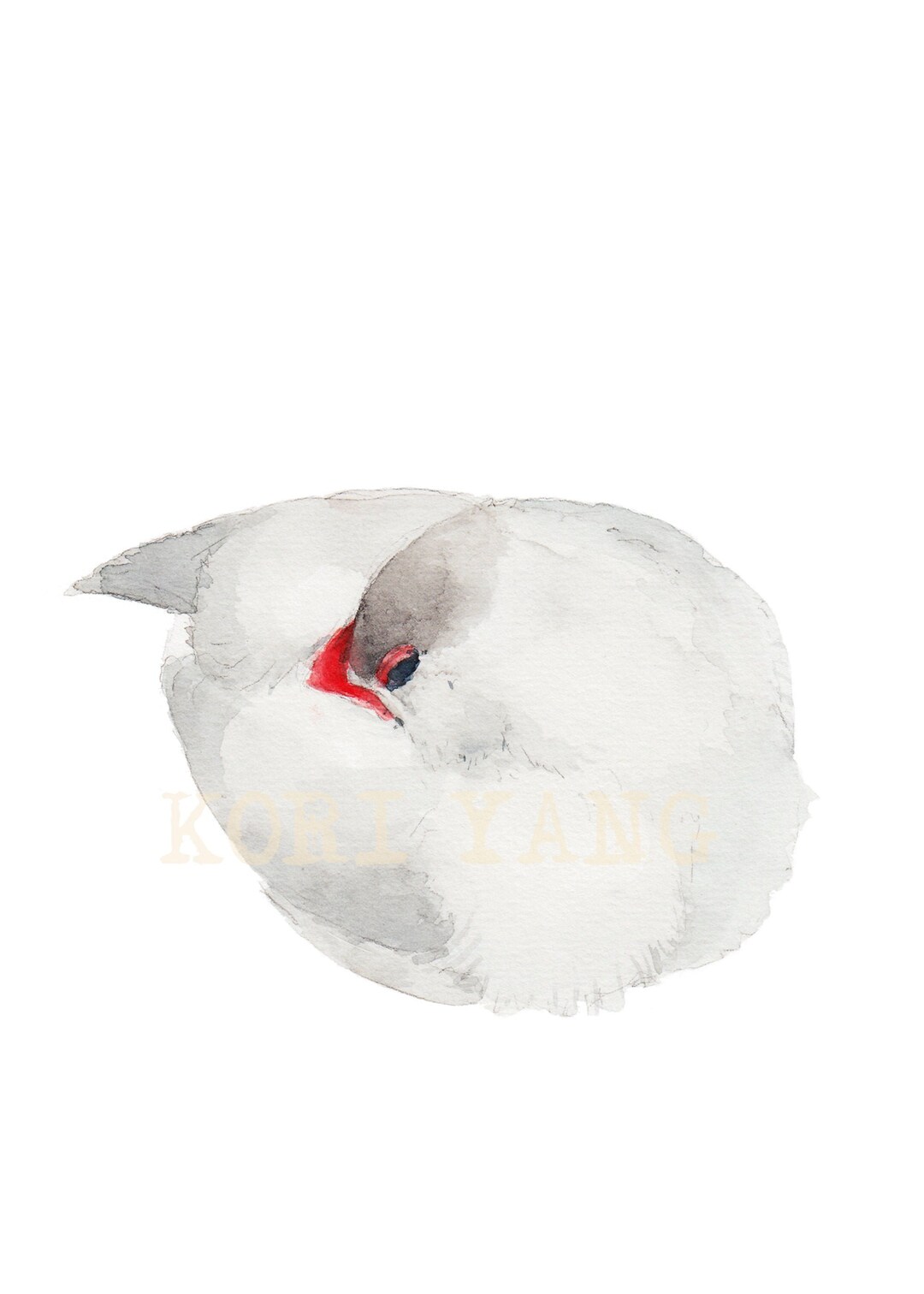 Java Sparrow Watercolor Painting - Bird Watercolor Painting - 5x7 Inch ...