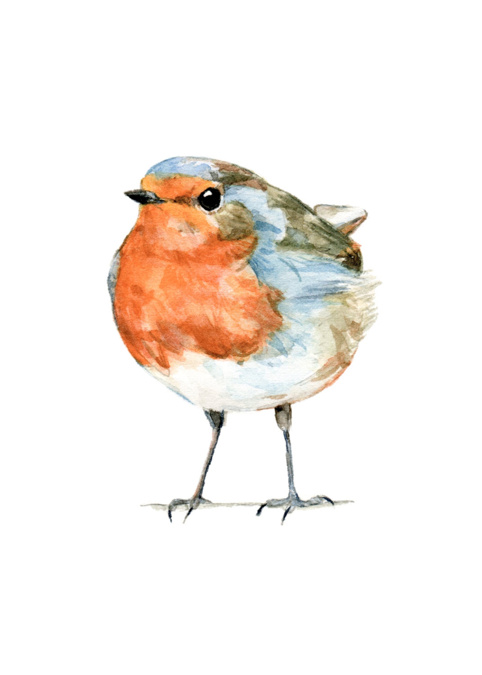 Robin Watercolor Painting - Bird Watercolor Painting - 5x7 Inch Print ...