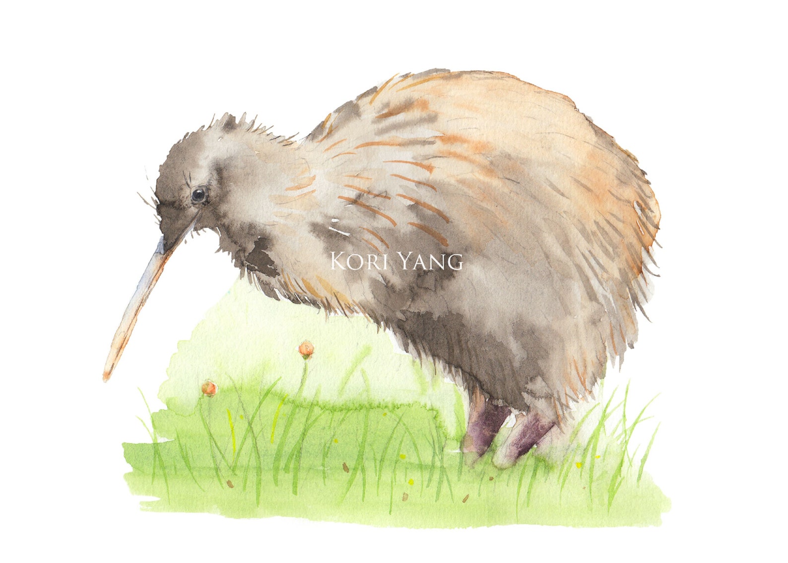 Kiwi Bird Watercolor Painting Bird Watercolor Painting 5x7 - Etsy Australia