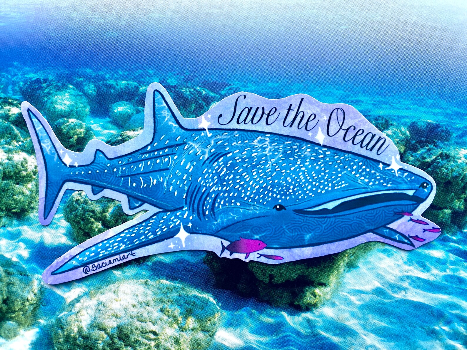 Whale Shark Sticker | Etsy