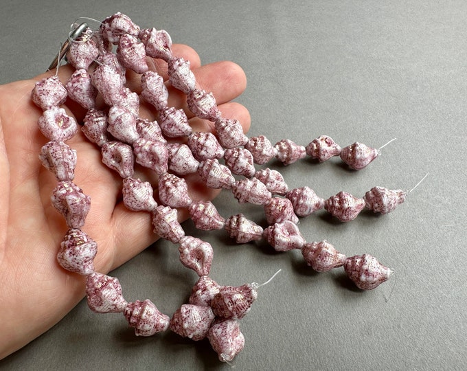 Lovely New Conch Shell Beads From the Czech Republic!! Sold per Strand ...