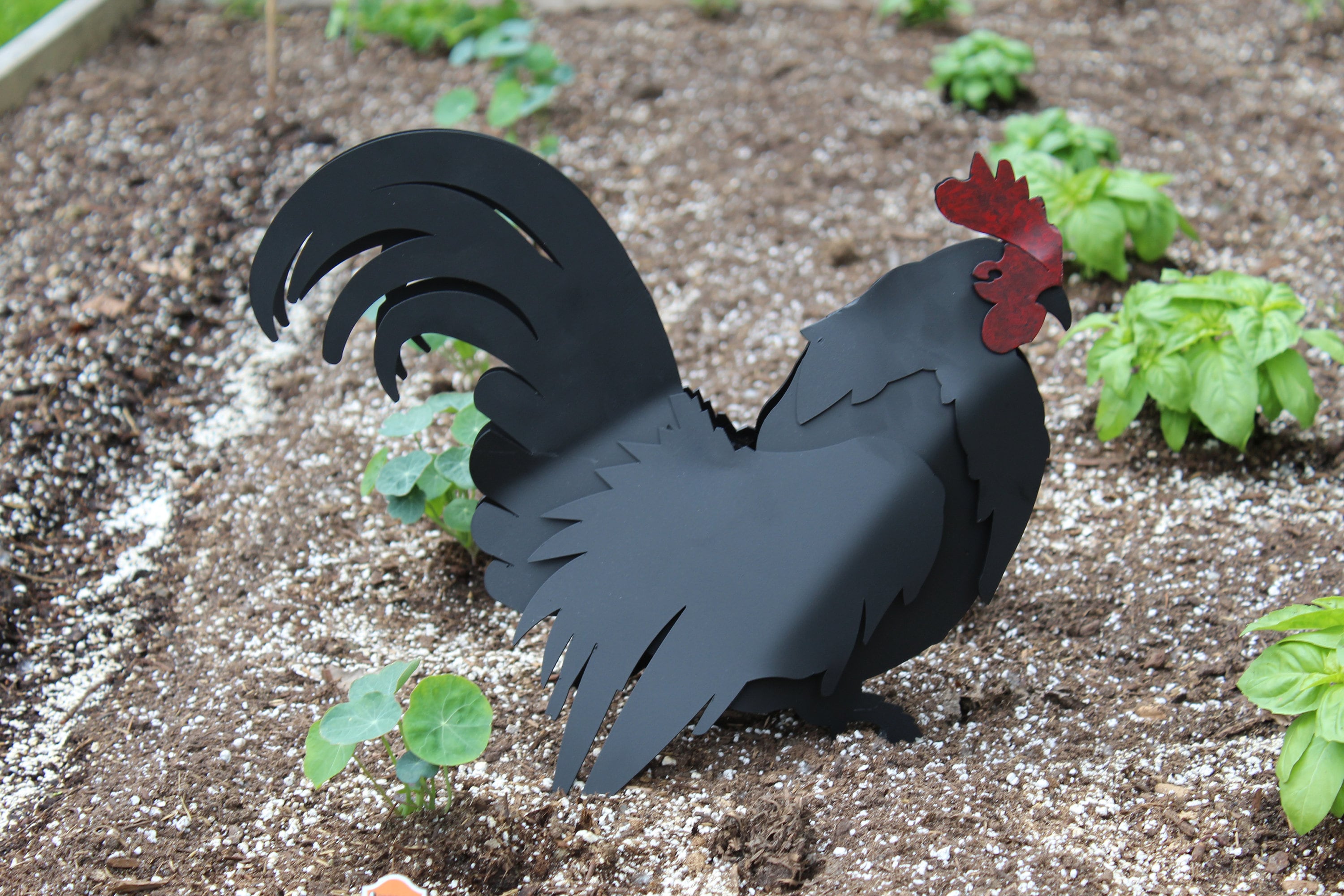 Free Shipping Rooster Steel Garden Sculpture Yard Art | Etsy