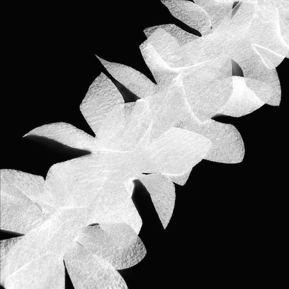 Leaf Trimming Selling per Yard - Etsy