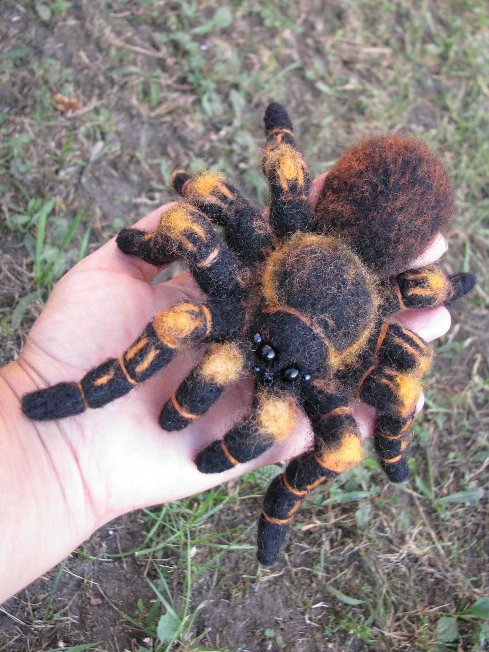 Spider Tarantula Real Size Animal Faux Taxidermy Natural | Etsy