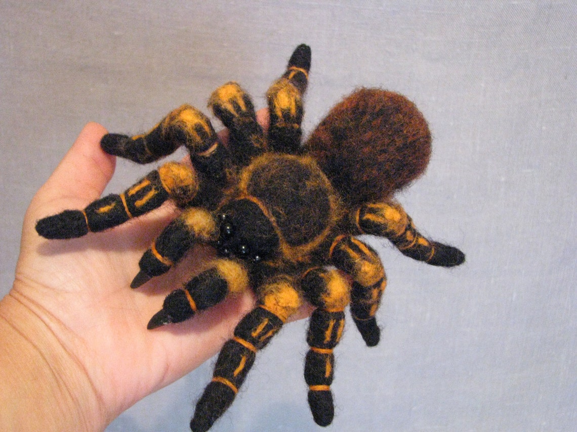 Spider Tarantula Real Size Animal Faux Taxidermy Natural | Etsy