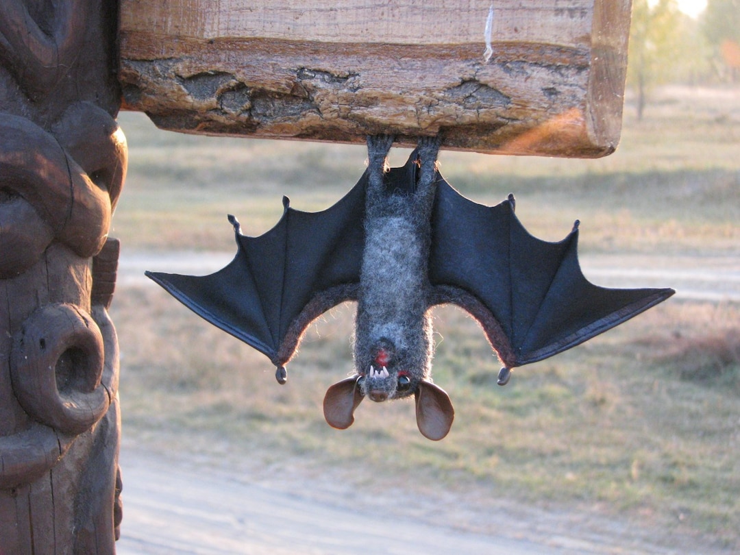 Bat Needle Felted Vampire Faux Taxidermy - Etsy