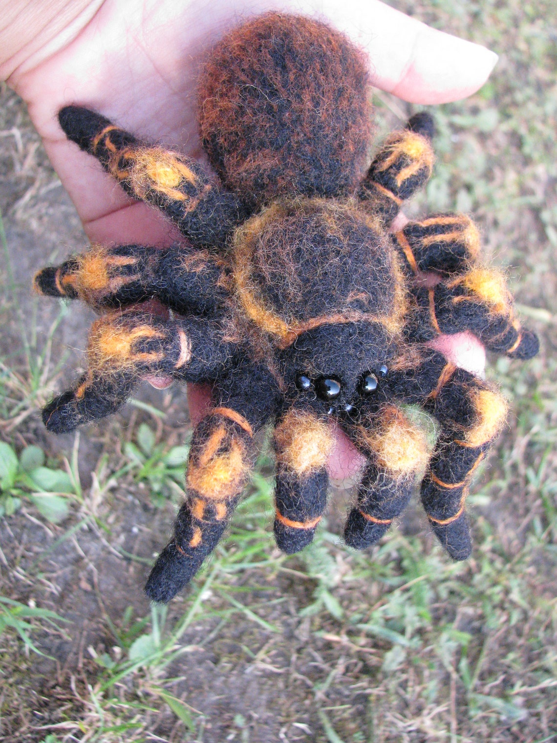 Spider Tarantula Real Size Animal Faux Taxidermy Natural | Etsy