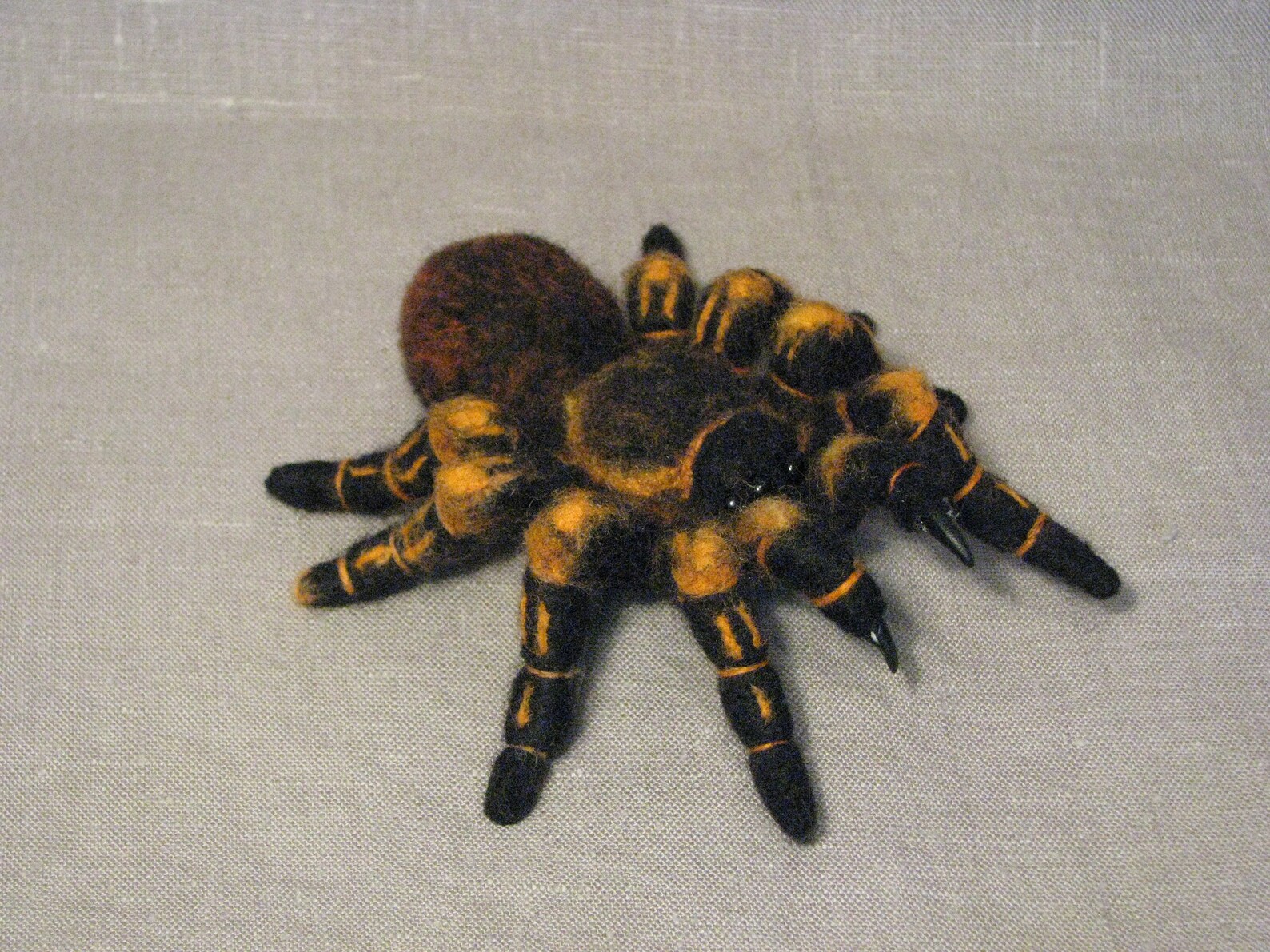Spider Tarantula Real Size Animal Faux Taxidermy Natural | Etsy