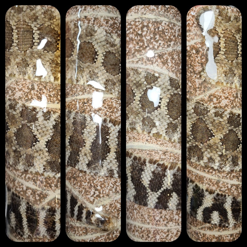 Rattlesnake Skin - Etsy