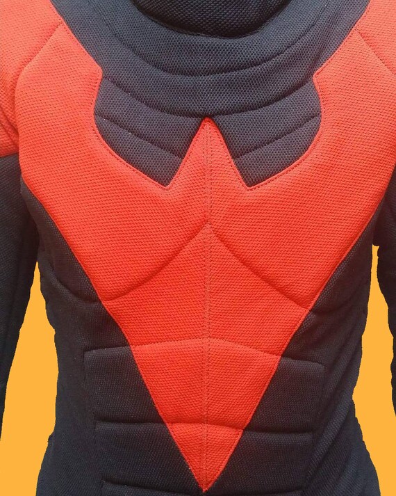 Blue Nightwing Vs Red Nightwing