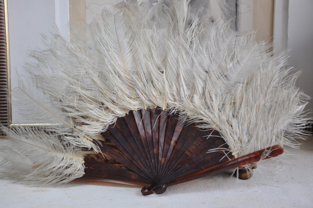 Antique French Ostrich Feather Hand Fan, Edwardian Victorian Feather ...