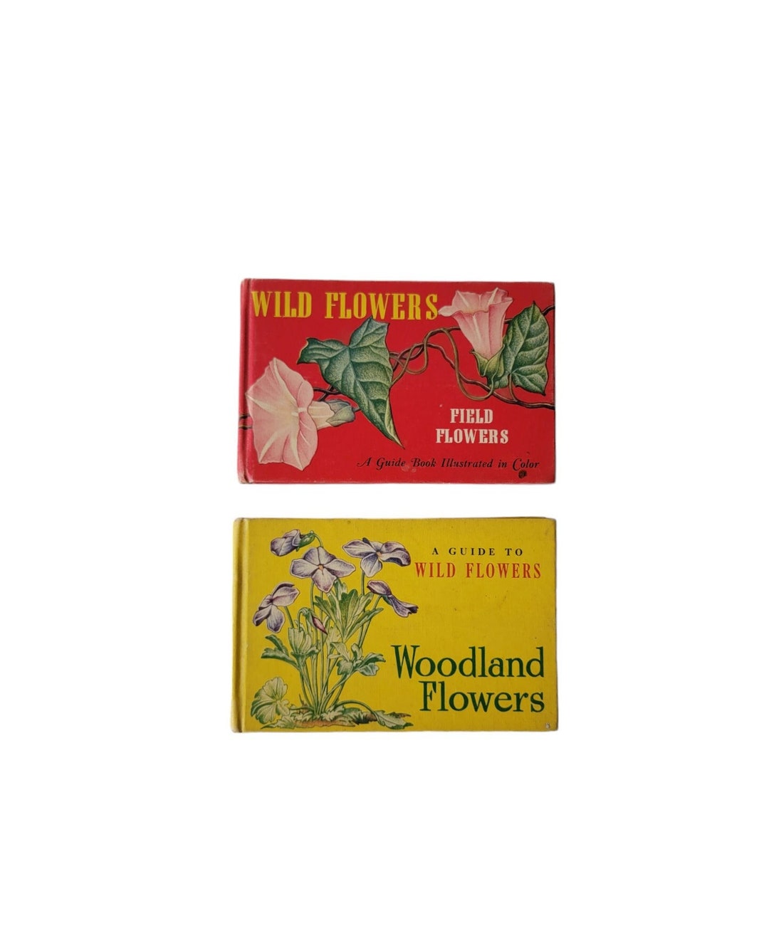 1945 Woodland Flowers and Field Flowers / A Guide to Wild - Etsy