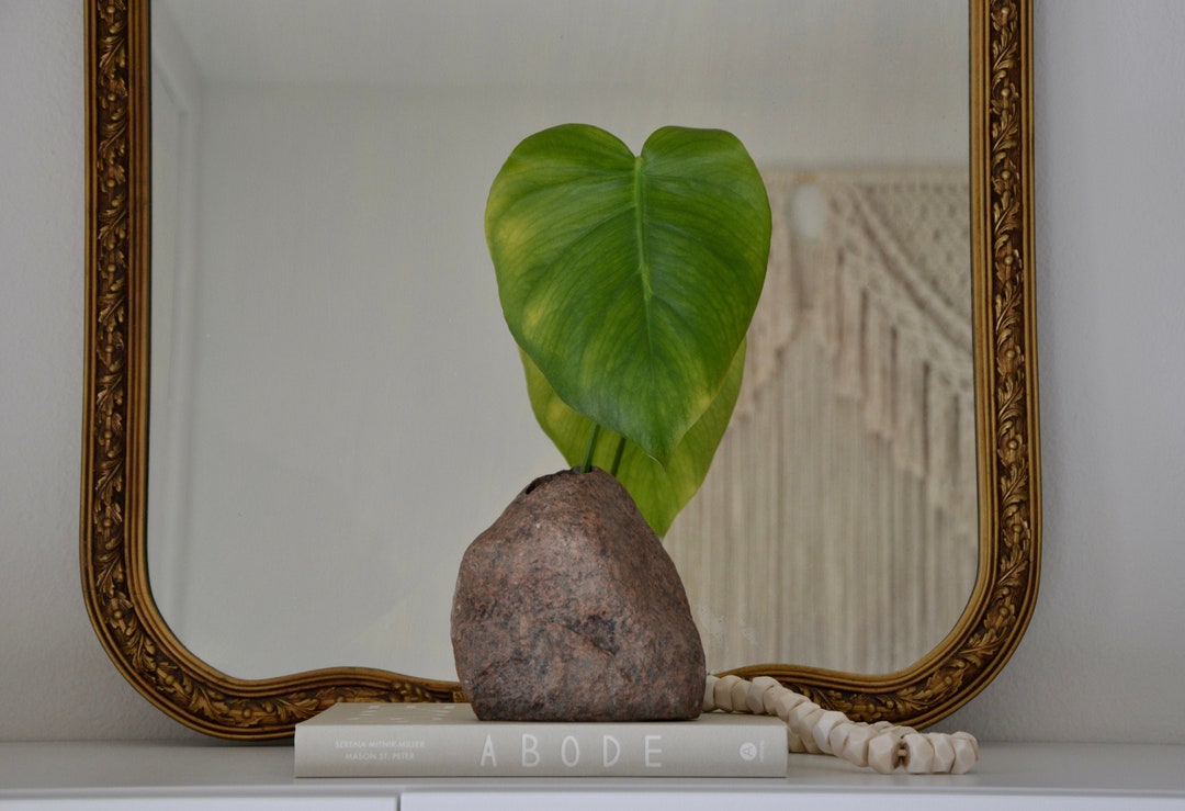 Earthy Organic Nature Decor Genuine Stone Vase / Rock Vase Beach Stone ...