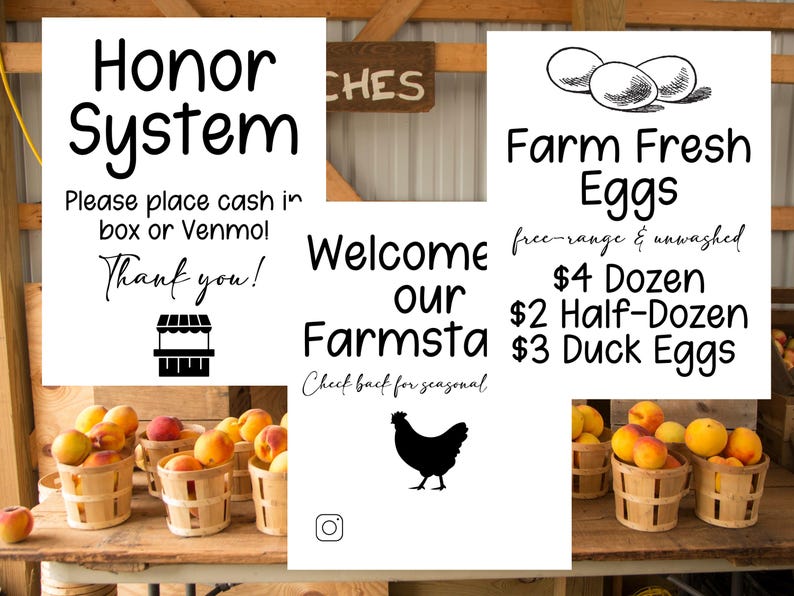 Farm Stand Display Posters | Egg Stand Posters | Canva Template | Farm ...