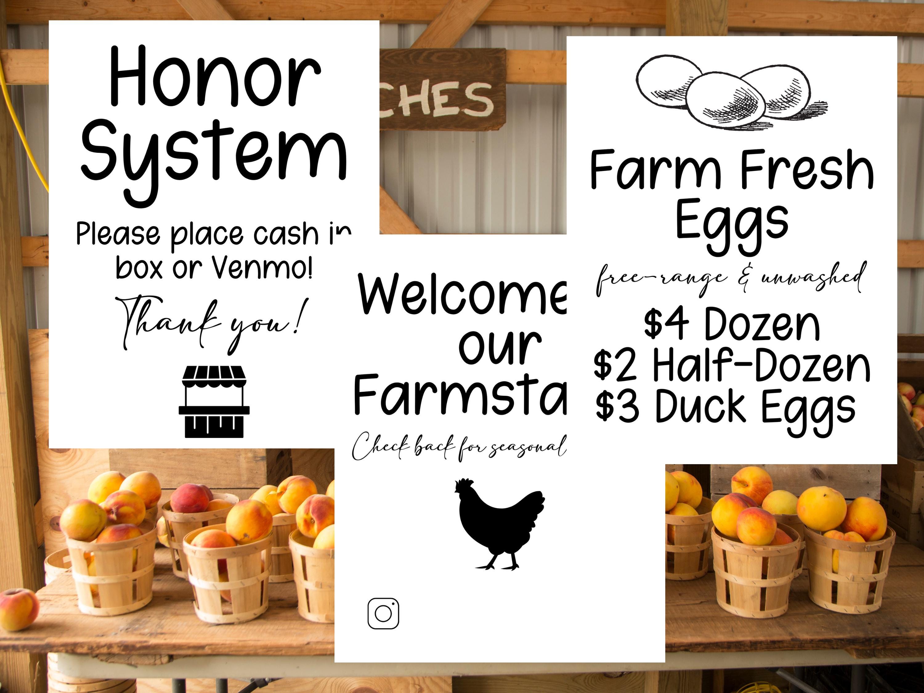 Farm Stand Display Posters | Egg Stand Posters | Canva Template | Farm ...