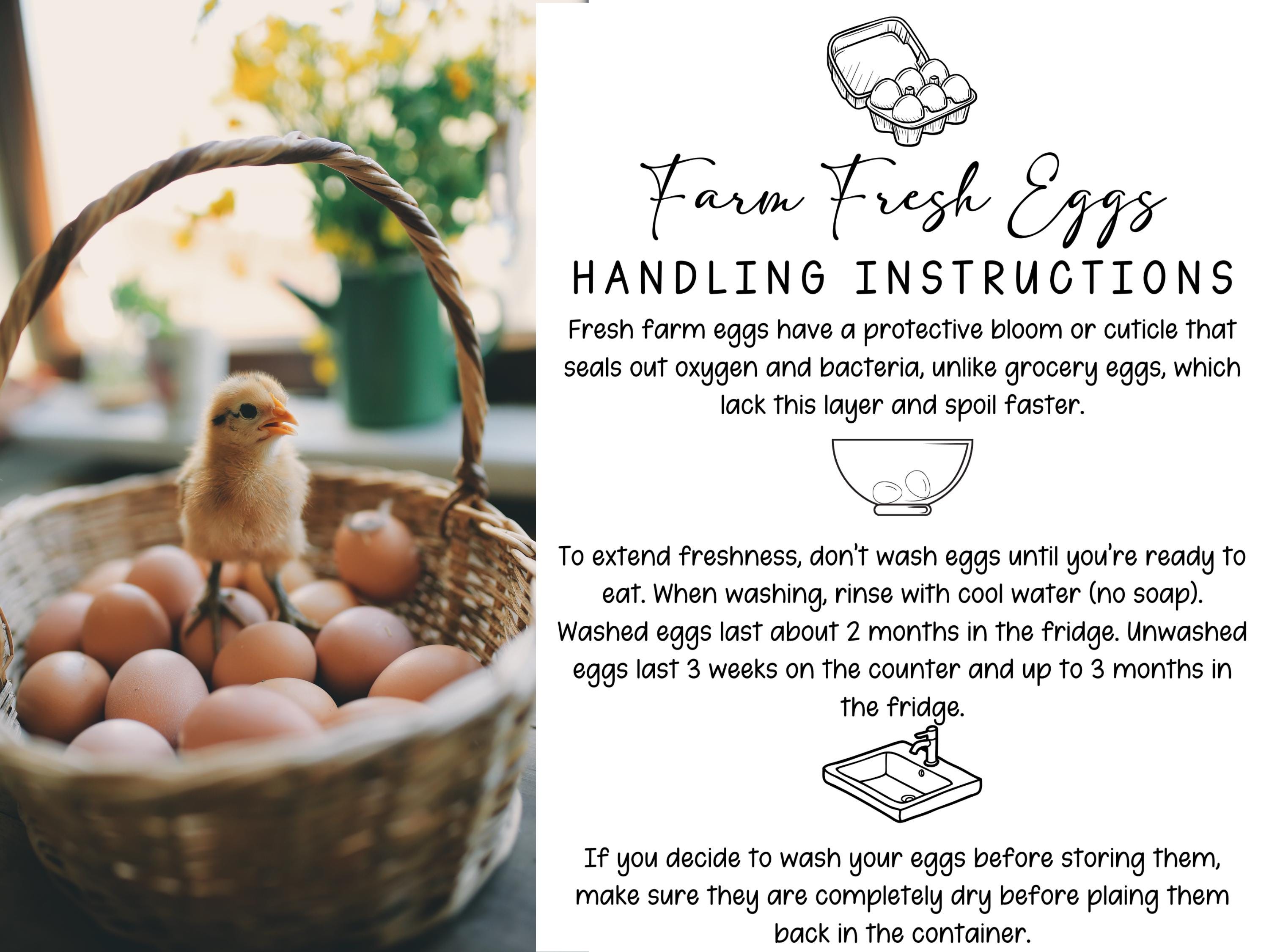 Farm Stand Display Posters | Egg Stand Posters | Canva Template | Farm ...
