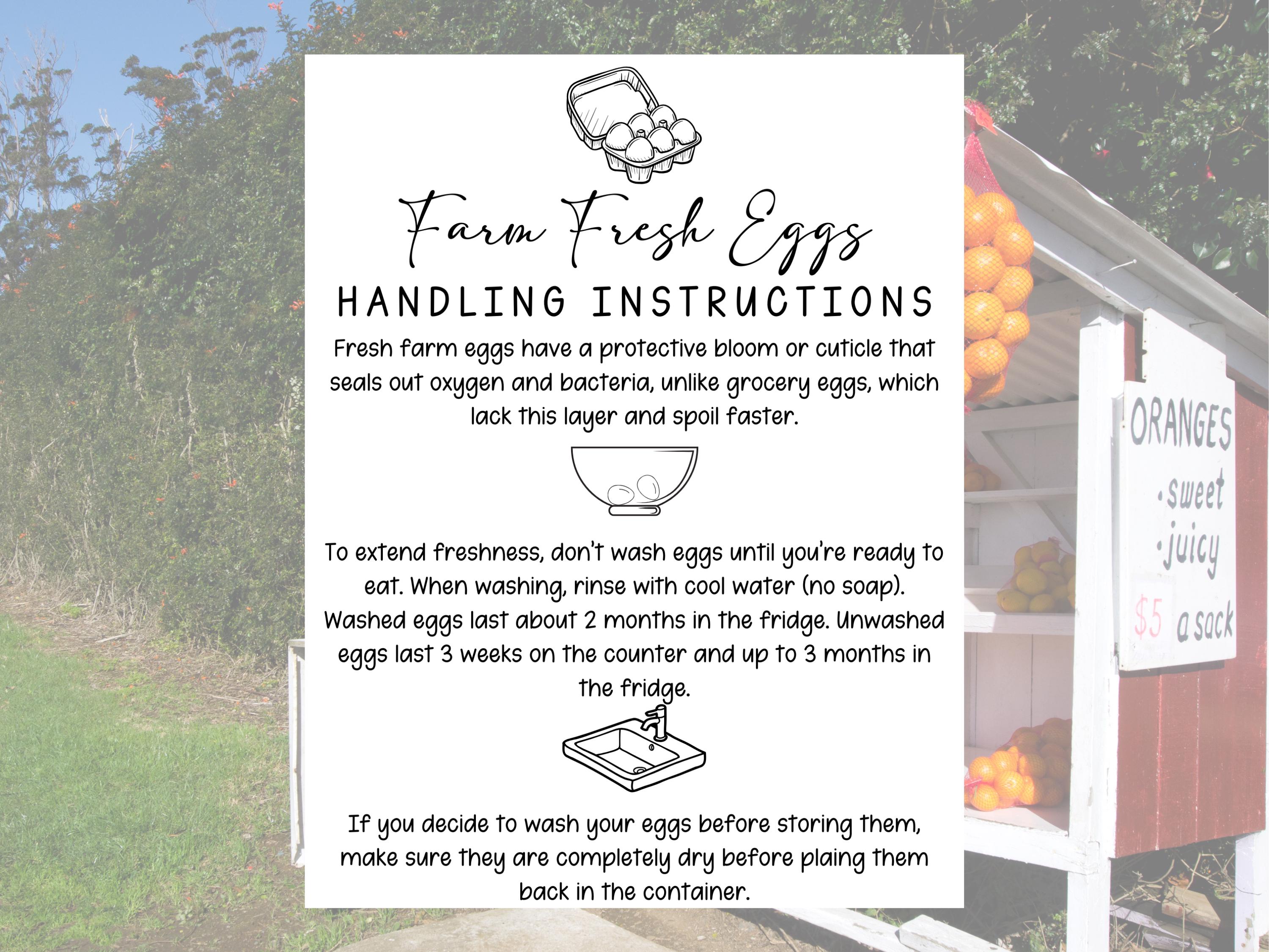 Farm Stand Display Posters | Egg Stand Posters | Canva Template | Farm ...