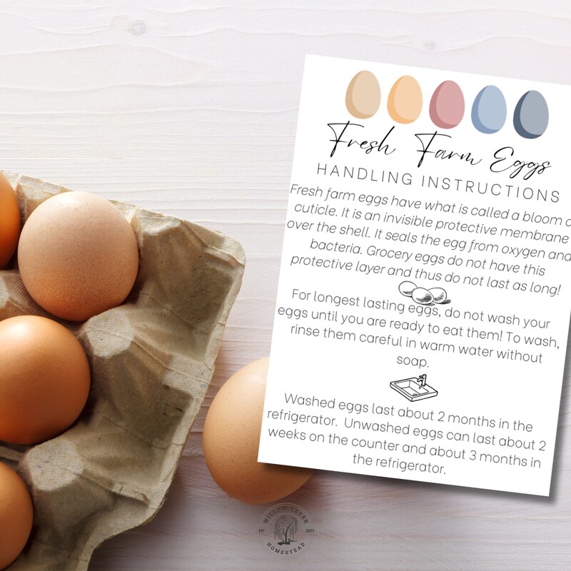 Fresh Egg Care Cards - Etsy