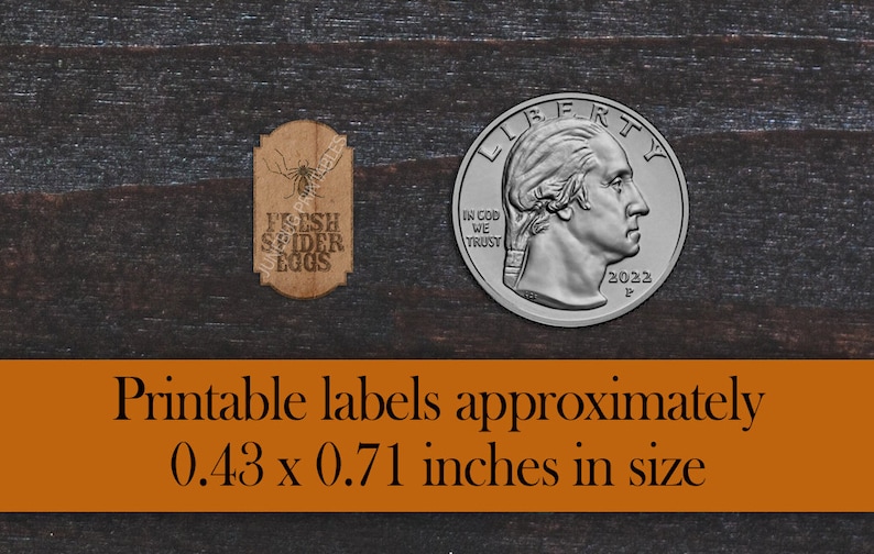 45 Printable Miniature Potion Labels Halloween Dollhouse - Etsy