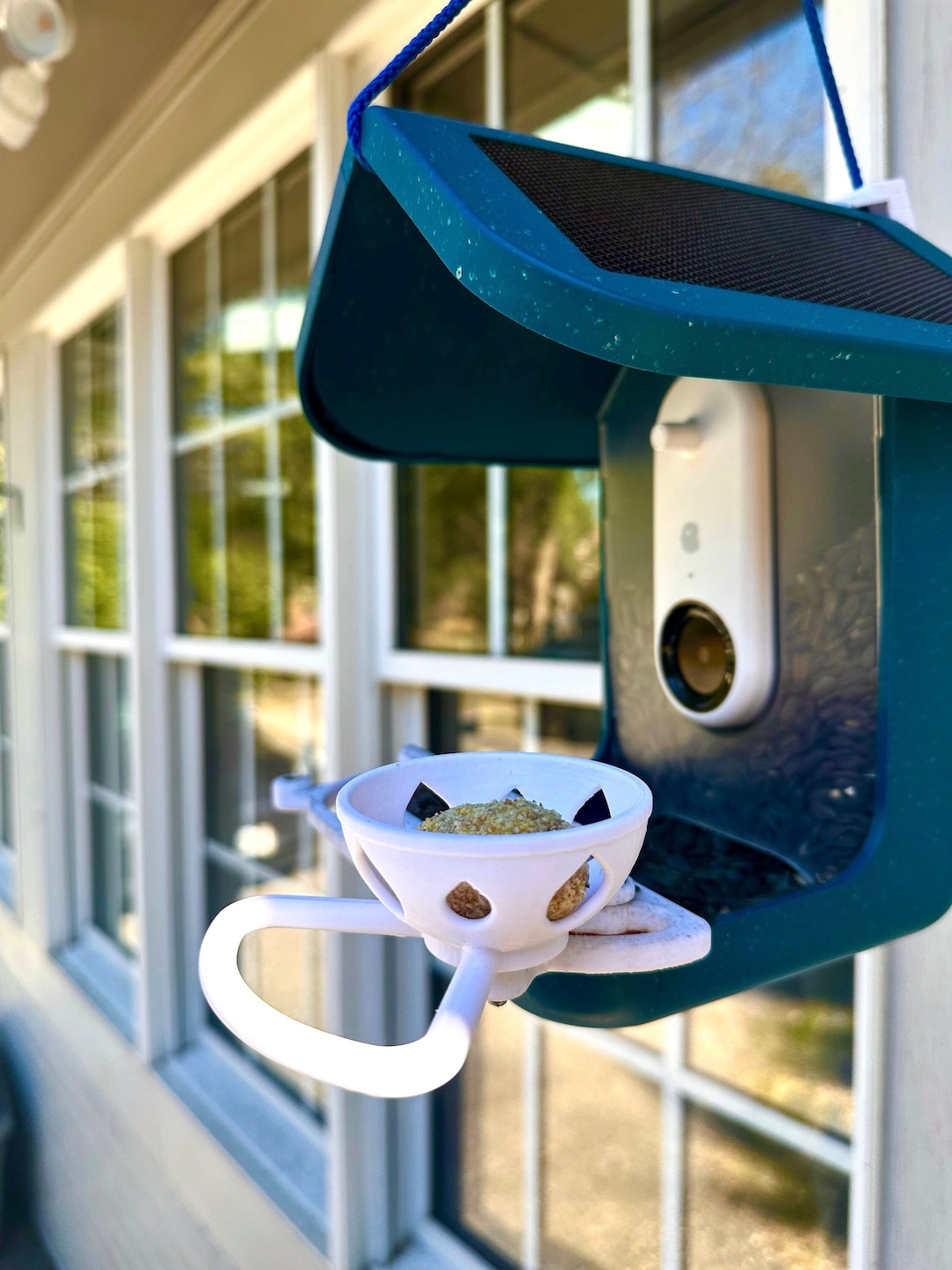 Bird Buddy Suet Ball Feeder With Perch - Etsy