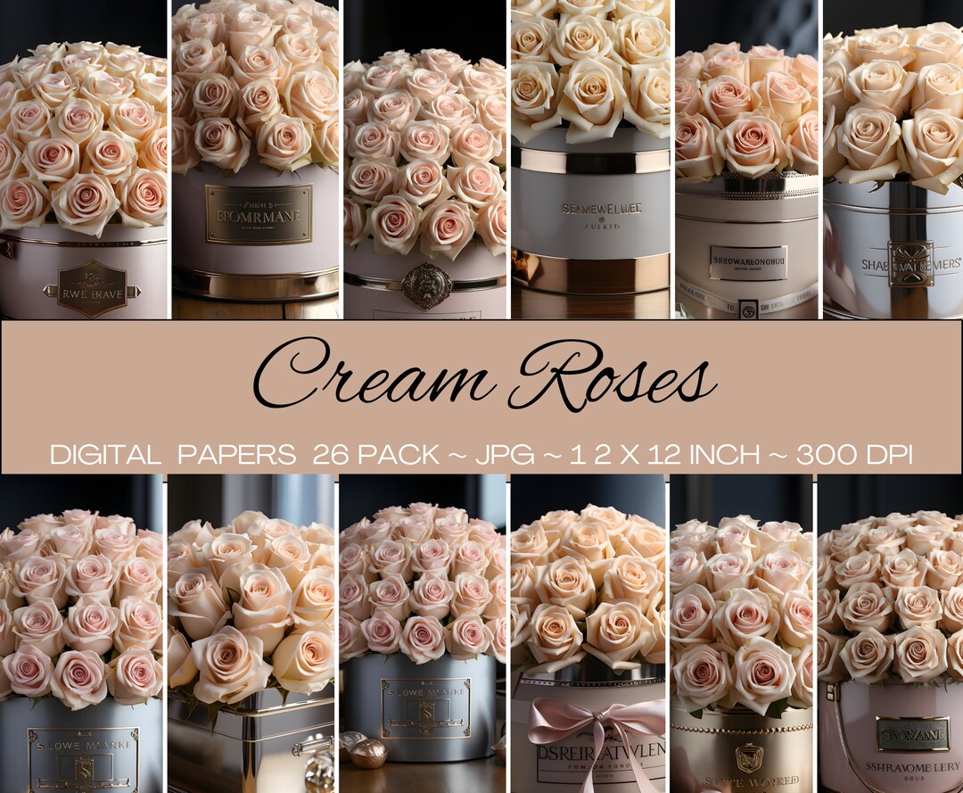 26 Pack Cream Roses Digital Clip Art/instant Download/digital Printable ...