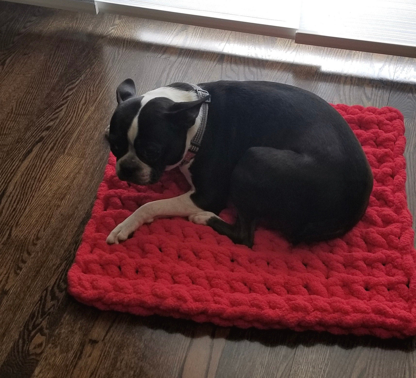 Chunky Knit Pet Blanket/ Soft Warm Blanket Throw/ Dog Cat - Etsy