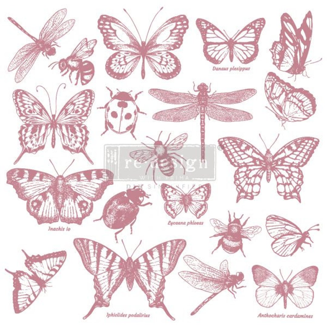 Monarch Collection Stamp Set - Redesign With Prima - Reusable - Clearly ...