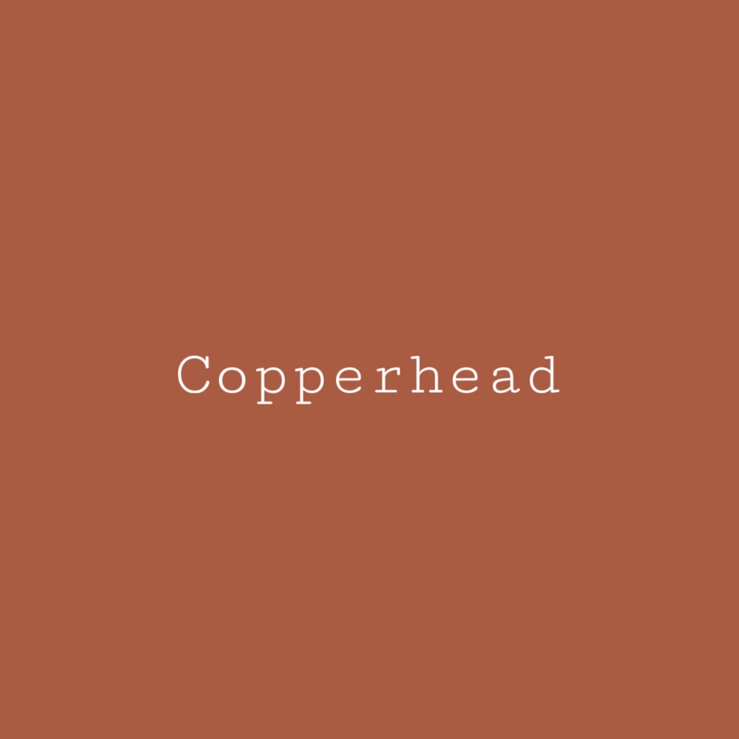 Copperhead - Melange ONE Artisan Mineral Paint - Primer to Topcoat in ...
