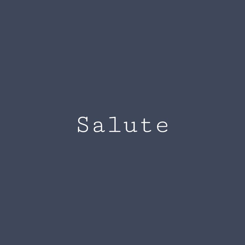 Salute Melange ONE Artisan Mineral Paints Primer to Topcoat - Etsy