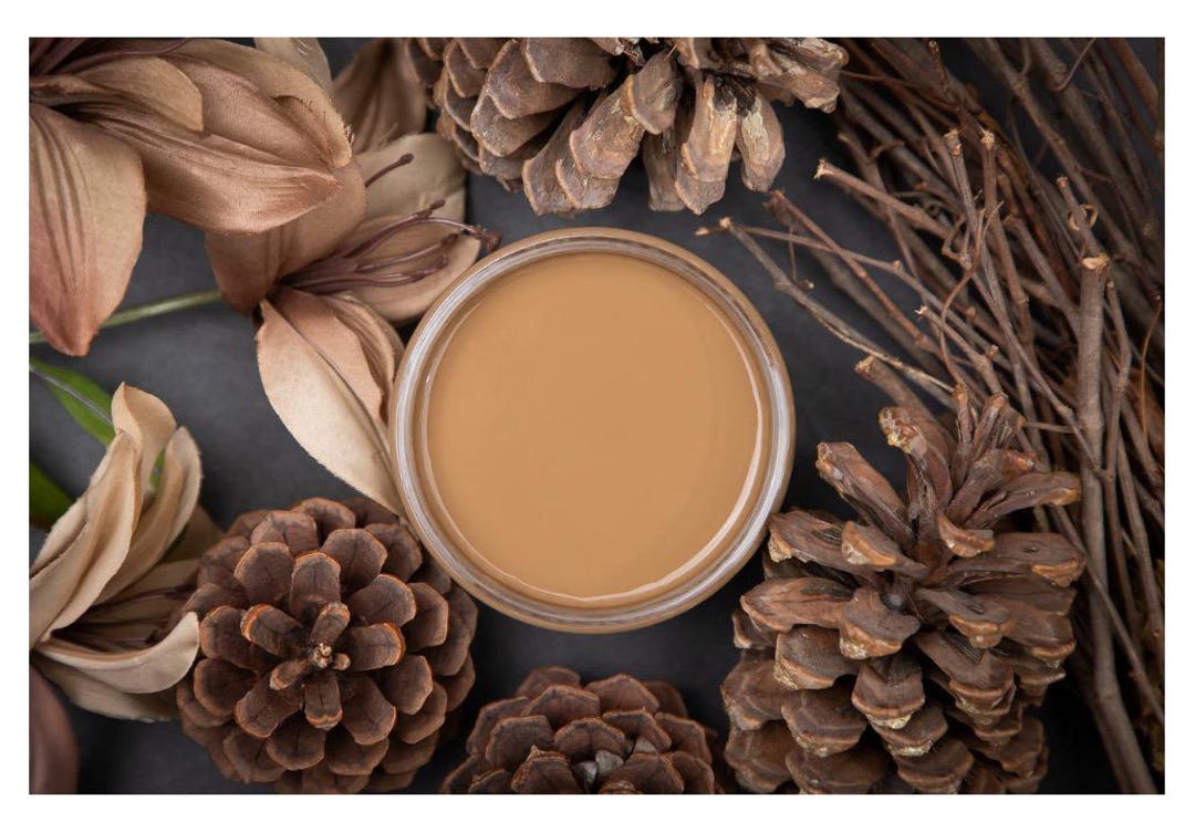 Dixie Belle Paint - Pine Cone - Flipping Fabulous Salina - Elite ...