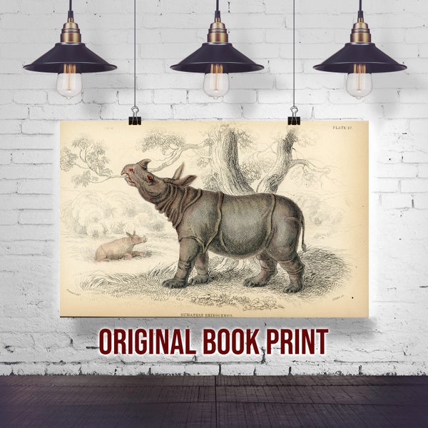 Rhino Print - Etsy